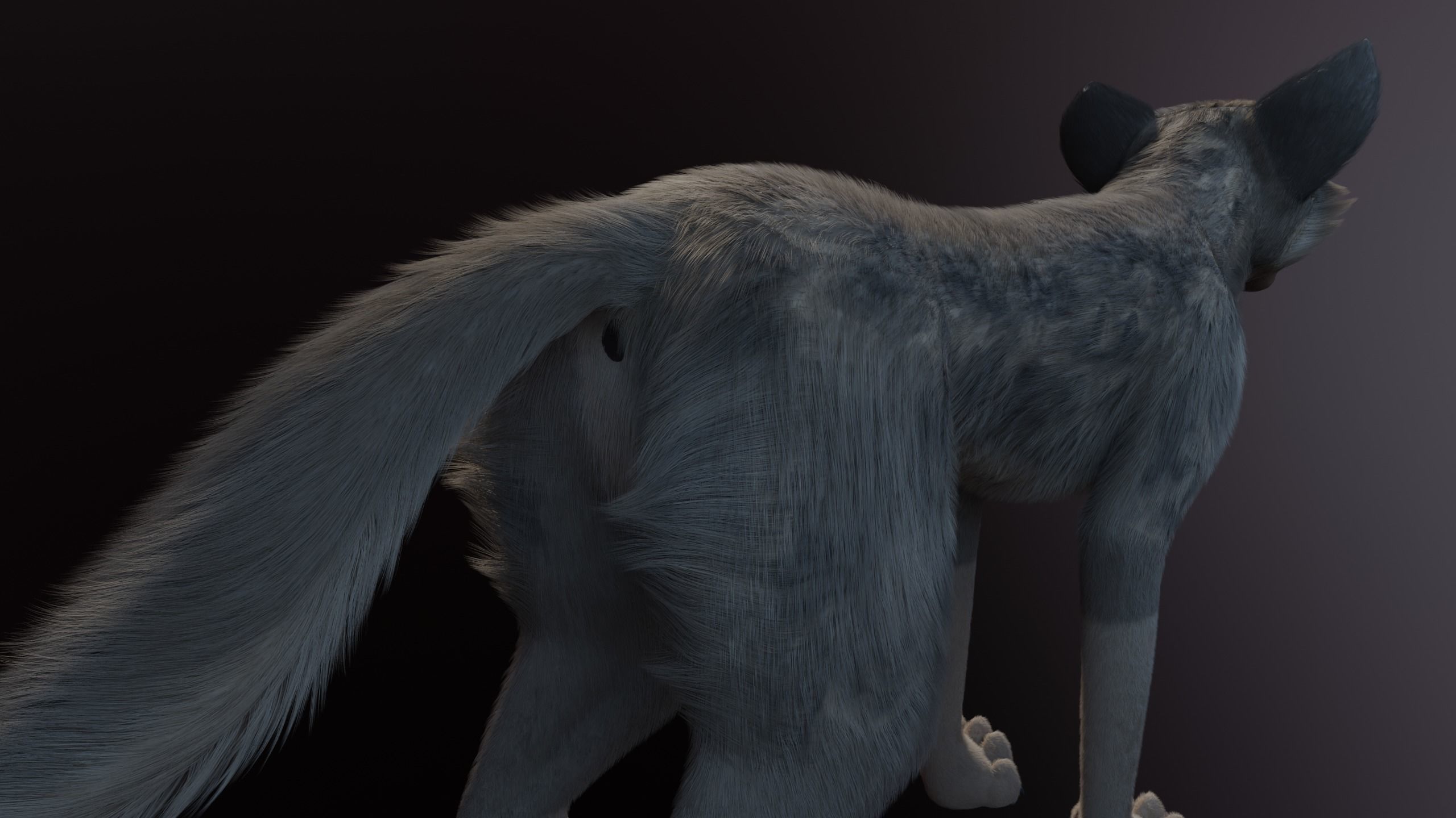 Trinity Wolf 3D model rigged | CGTrader