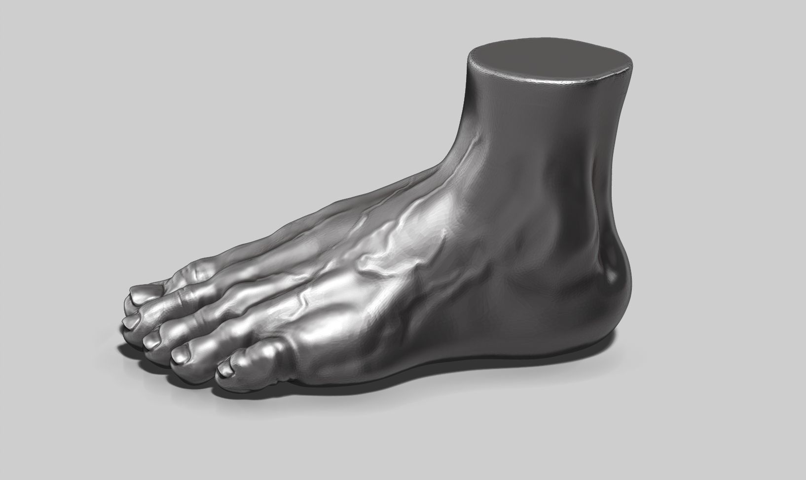 Foot a02 3d print model 3D model 3D printable | CGTrader