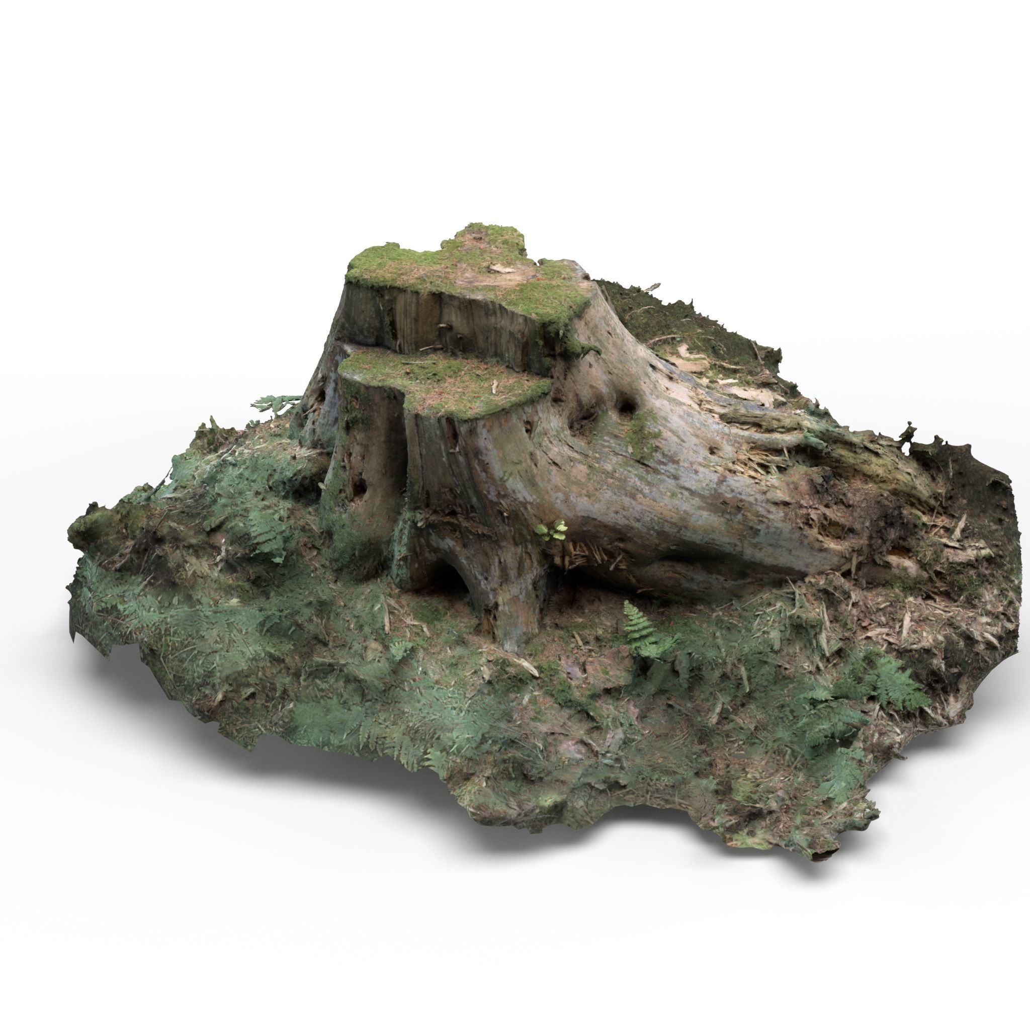 Forest Tree Stump 4K -Part10- free VR / AR / low-poly 3D model | CGTrader