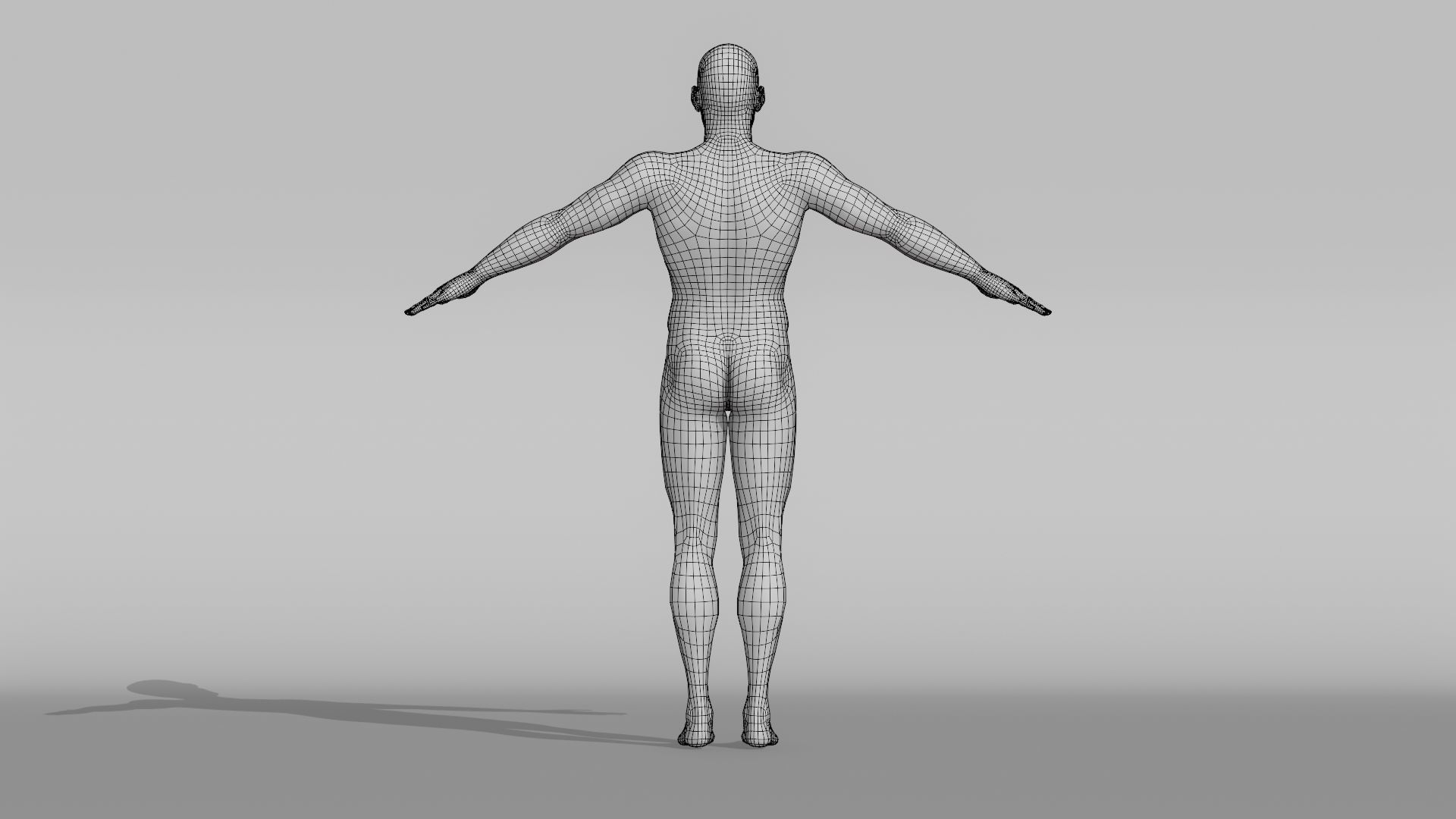 Base Meshes Characters Starter Kit High-Poly Pack 3D model rigged ...