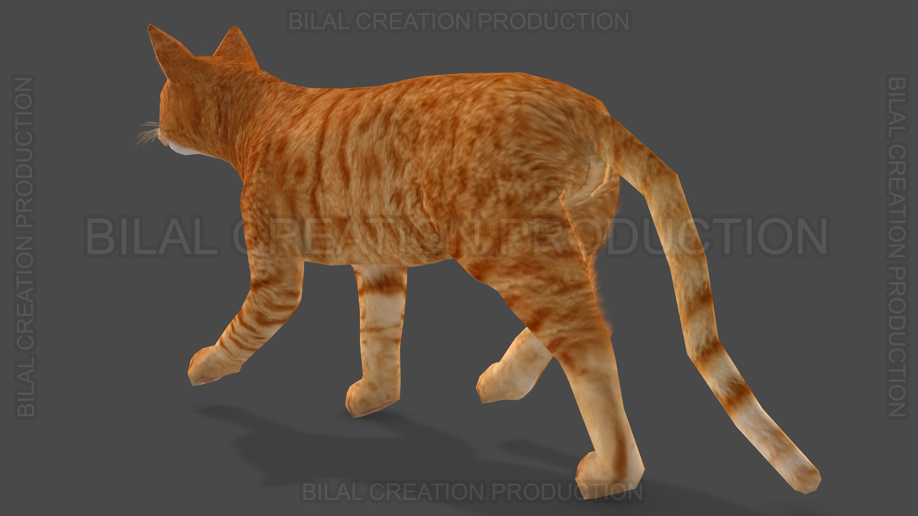 Animated Cat 3D model animated rigged | CGTrader