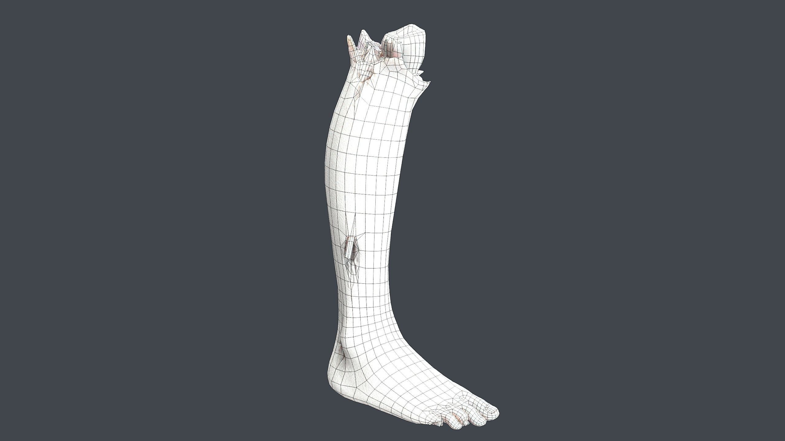 3D model Severed Feet Collection VR / AR / low-poly | CGTrader