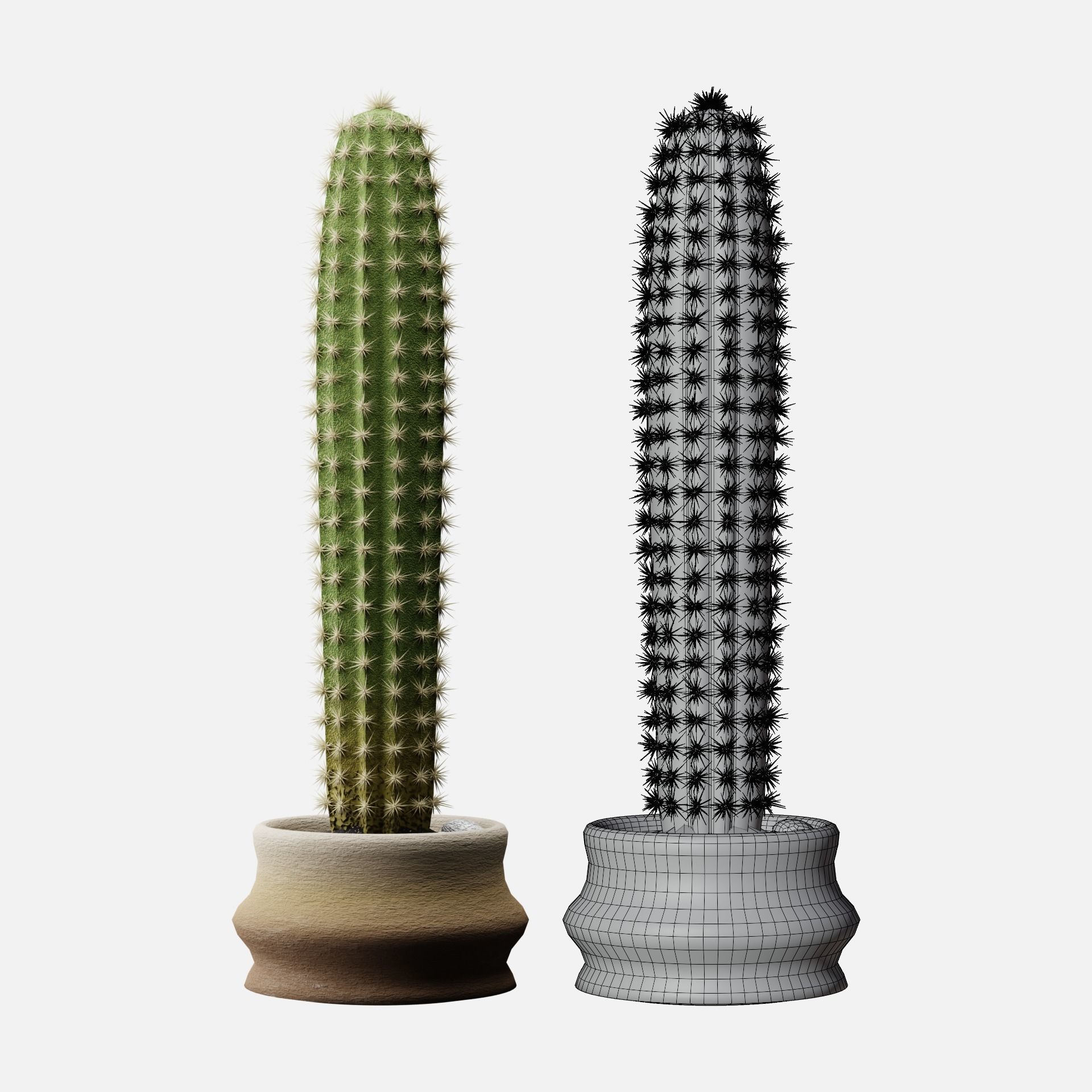 Realistic Cactus with pot ground and little stones included free 3D ...