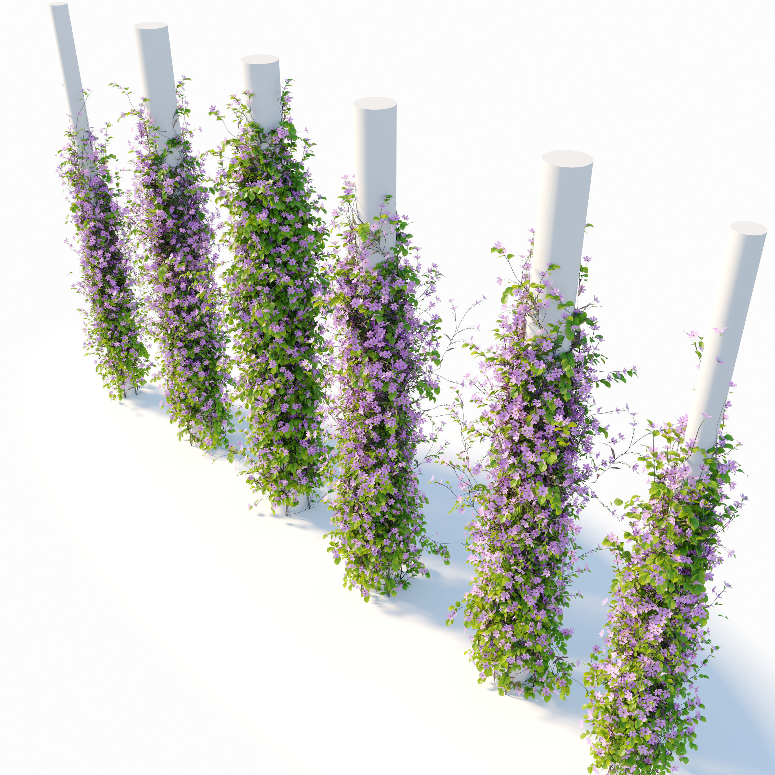 Flowering vine plant 3D model | CGTrader