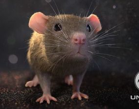 Mouse 3D Models | CGTrader