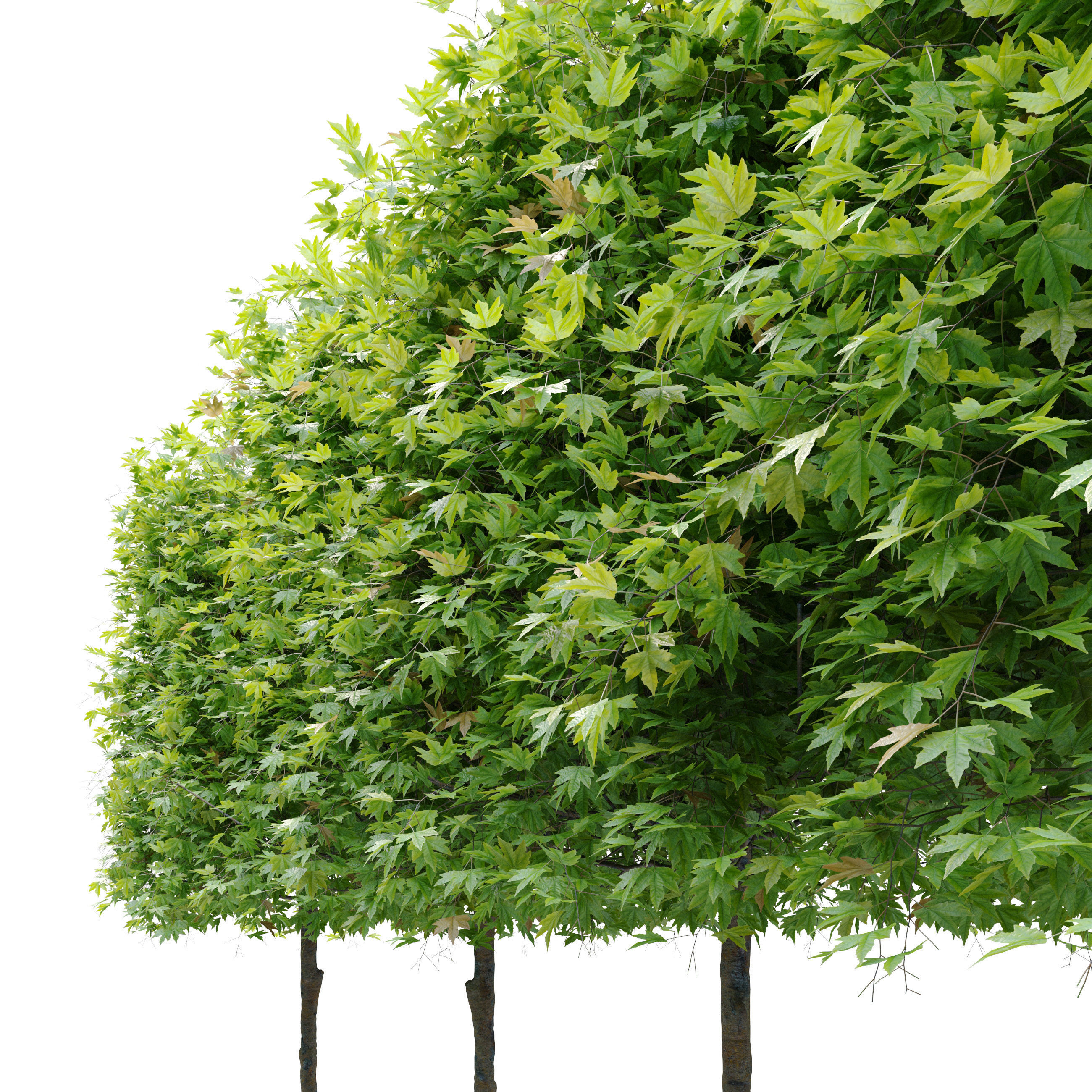 Boxhead trees set 3D model | CGTrader