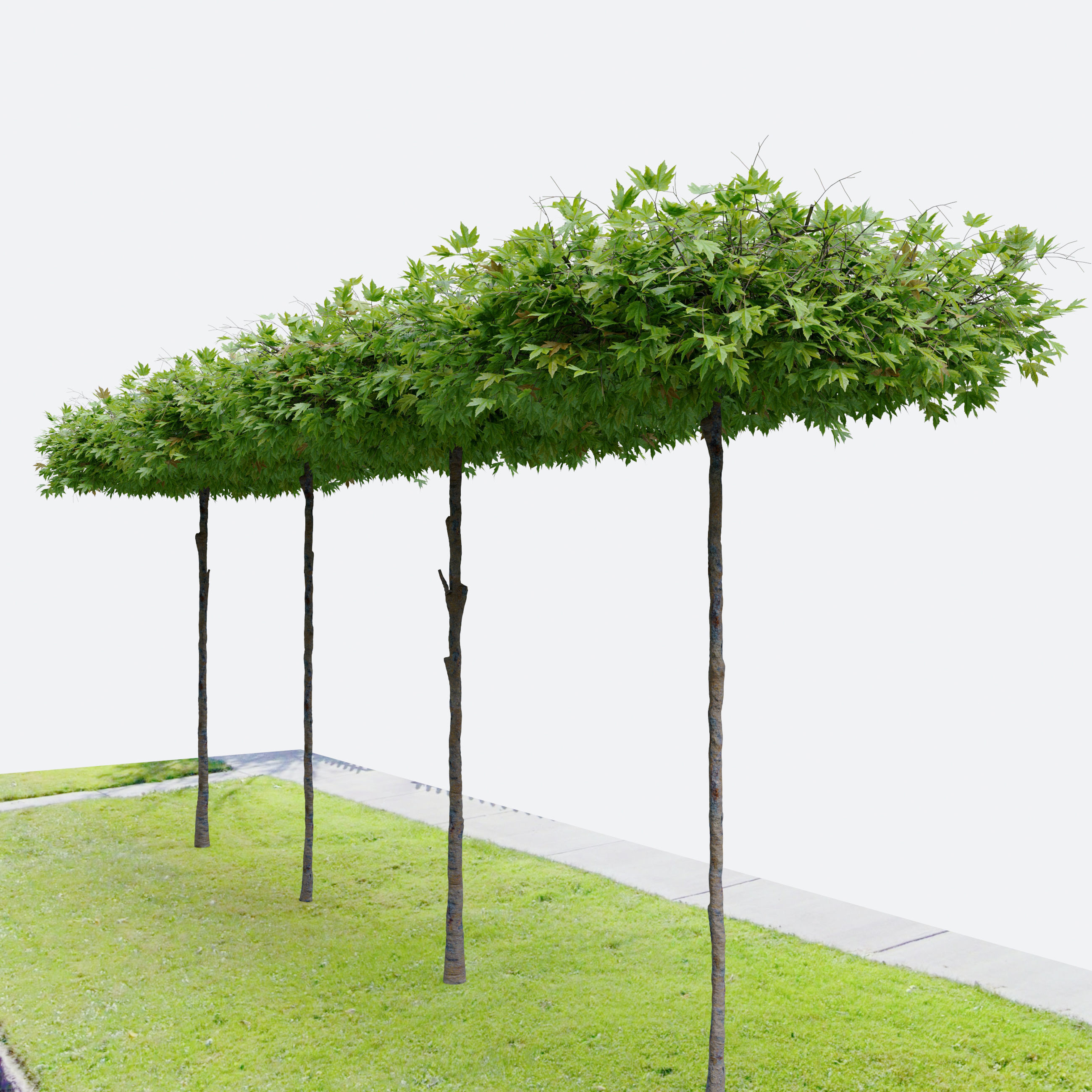 Boxhead trees set 3D model | CGTrader
