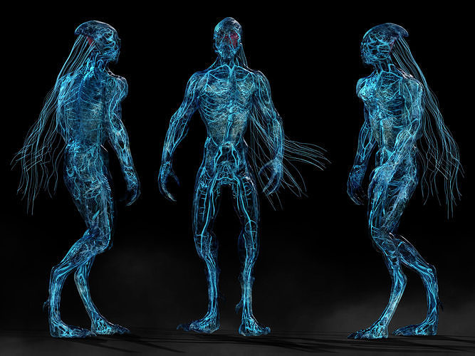 3D model Alien Circulatory System VR / AR / low-poly rigged | CGTrader