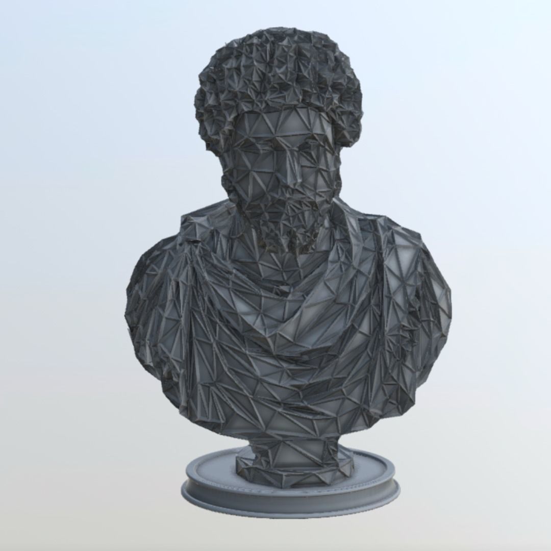 Marcus Aurelius Bust WIREFRAME VORONOI WIREMESH MESH 3D model 3D ...