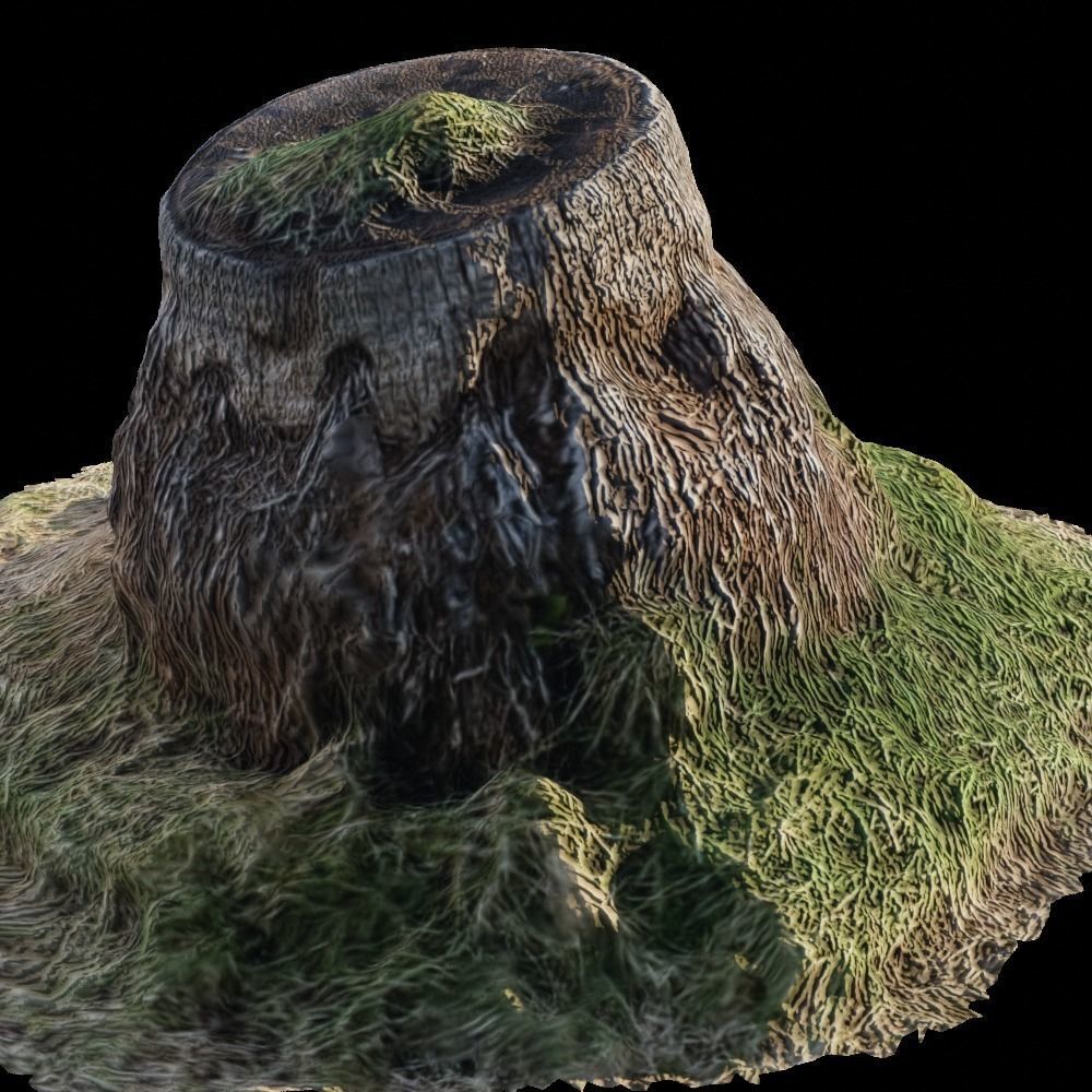 Low-Poly Scanned Tree stump 3D model 3D model | CGTrader