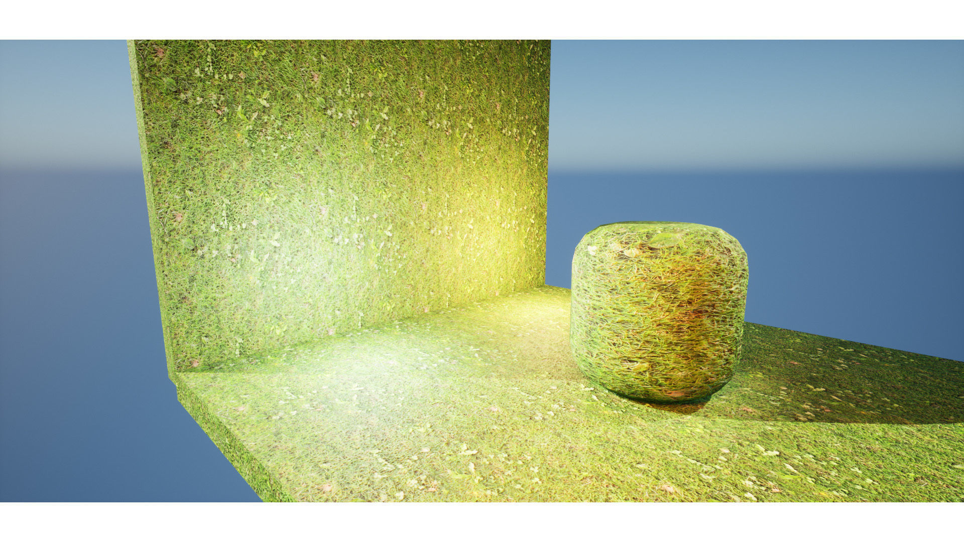 Photorealistic Grass Textures in 4K Texture | CGTrader