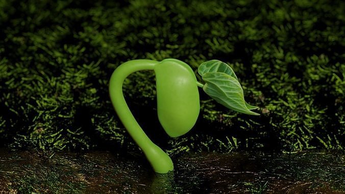 Plant sprout growing process 3D model | CGTrader