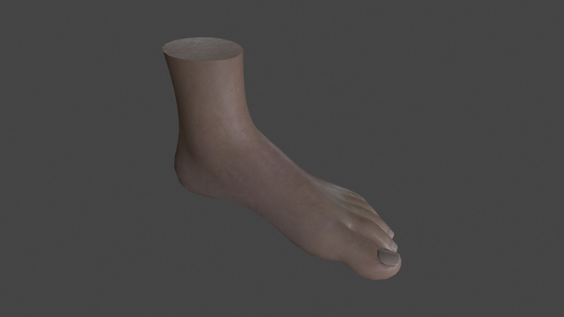 3D model FOOT-002 Rigged Left Foot VR / AR / low-poly | CGTrader
