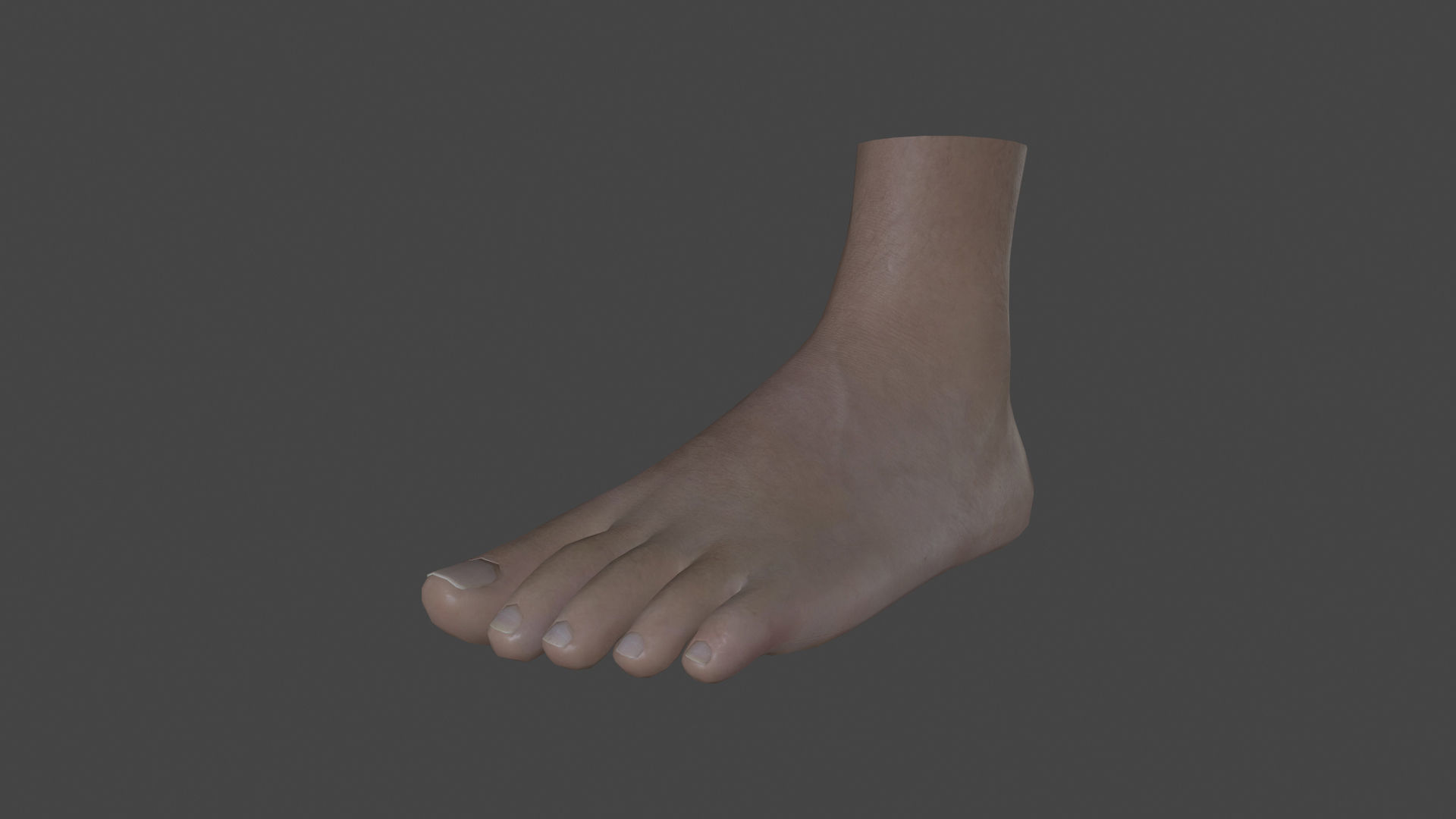 3D model FOOT-002 Rigged Left Foot VR / AR / low-poly | CGTrader