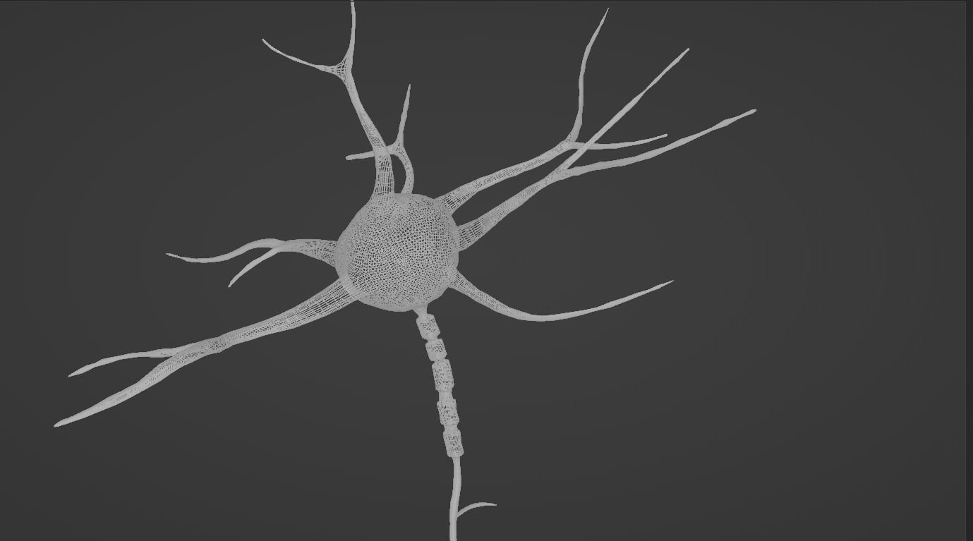 Neuron scene 3d model 3D model | CGTrader