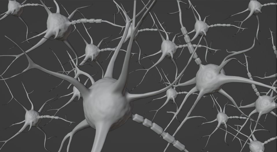 Neuron scene 3d model 3D model | CGTrader