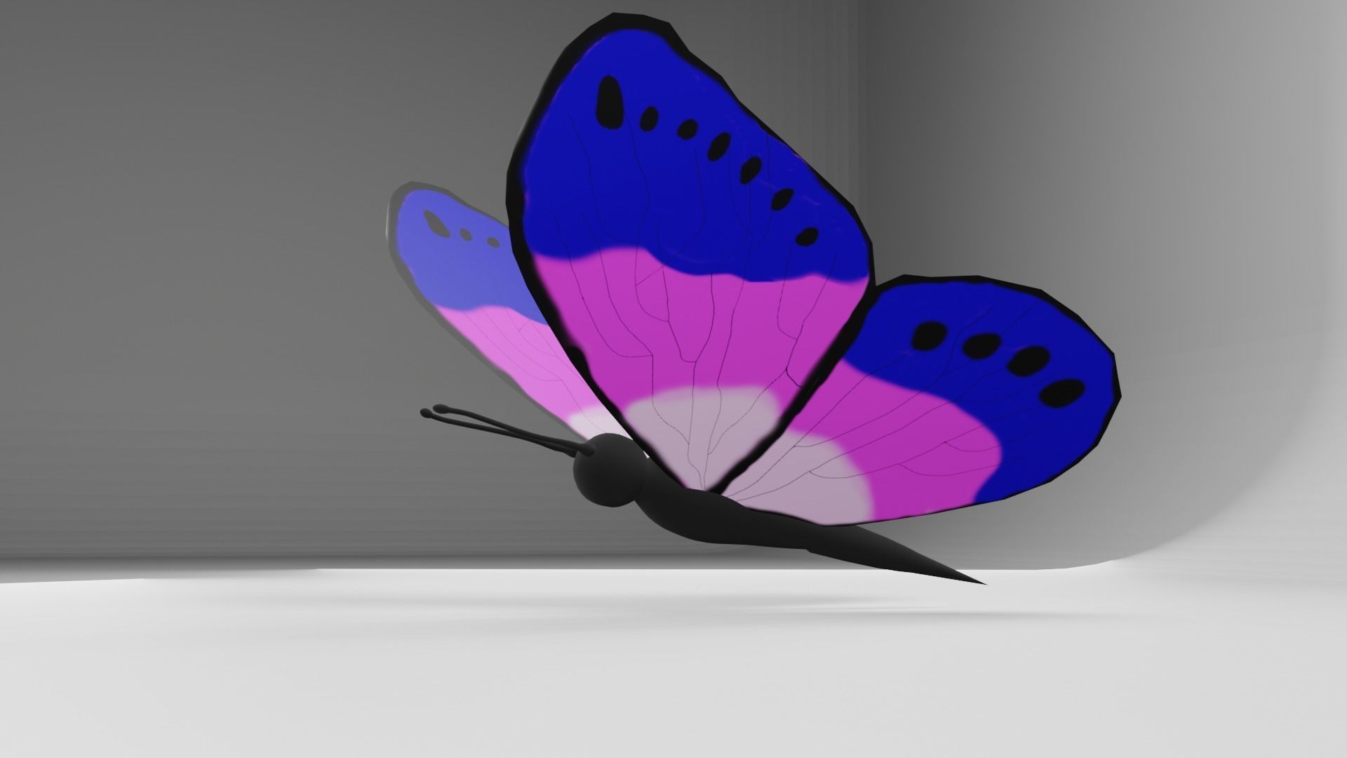 Butterfly animated butterflies free 3D model | CGTrader