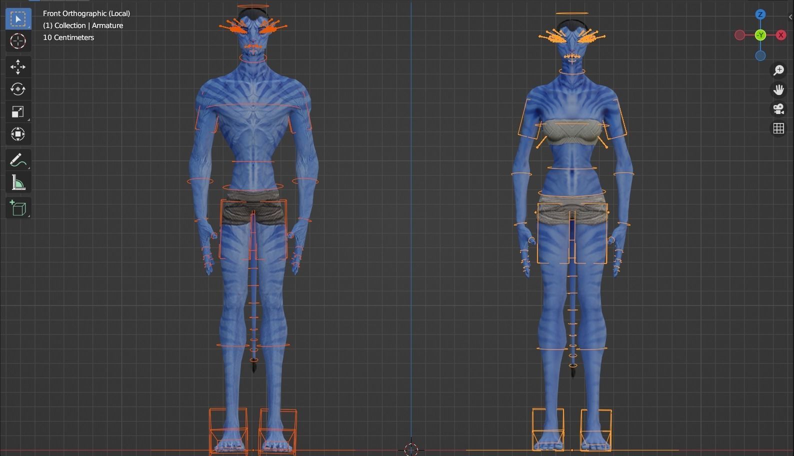 Avatar male and female character rigged 3D model rigged | CGTrader