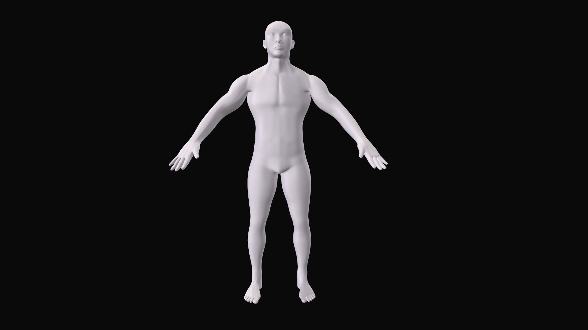 Male Base Mesh 3D model rigged | CGTrader