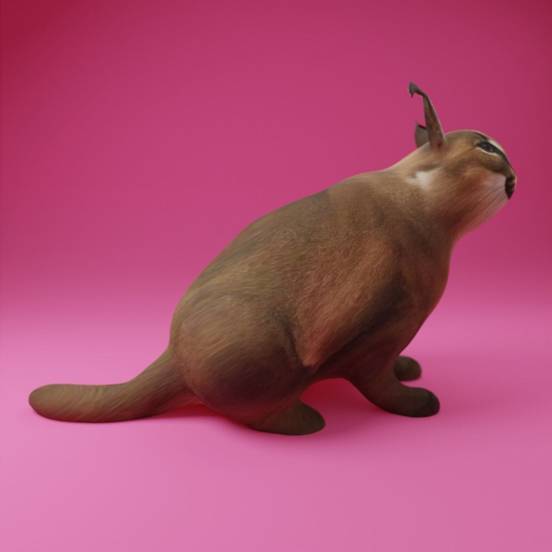 BIG FLOPPA 3D Model free VR / AR / low-poly 3D model | CGTrader