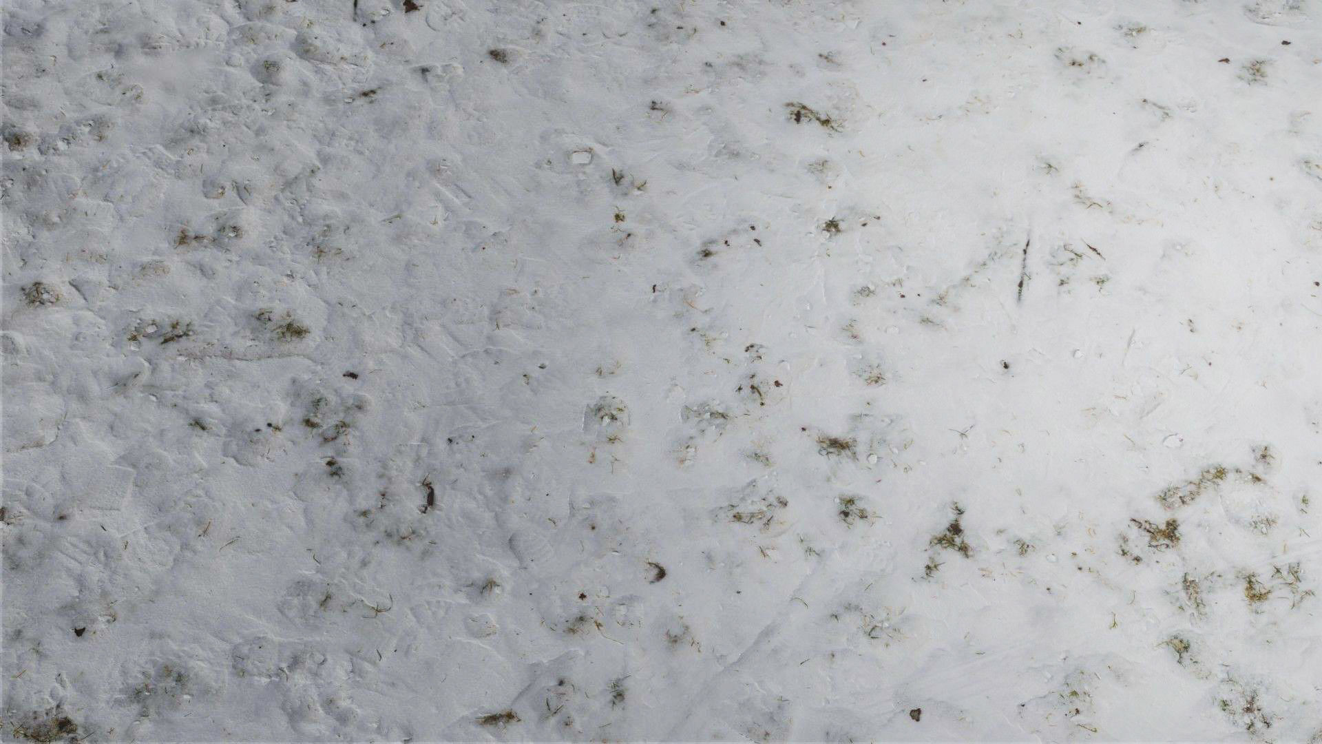 Texture Snow PBR Texture VR / AR / low-poly | CGTrader