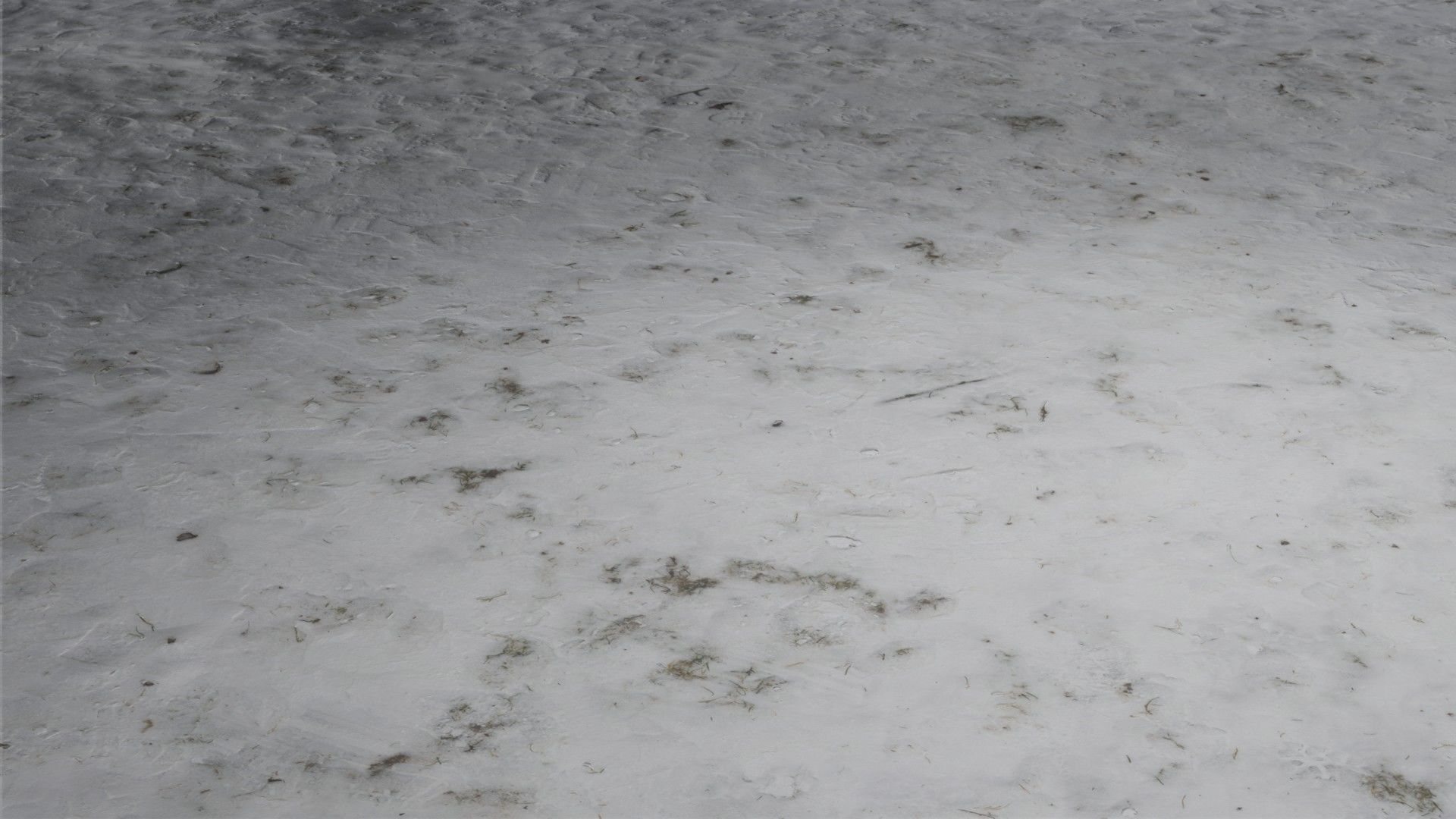 Texture Snow PBR Texture VR / AR / low-poly | CGTrader