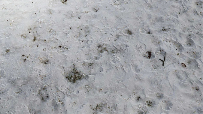 Texture Snow PBR Texture VR / AR / low-poly | CGTrader