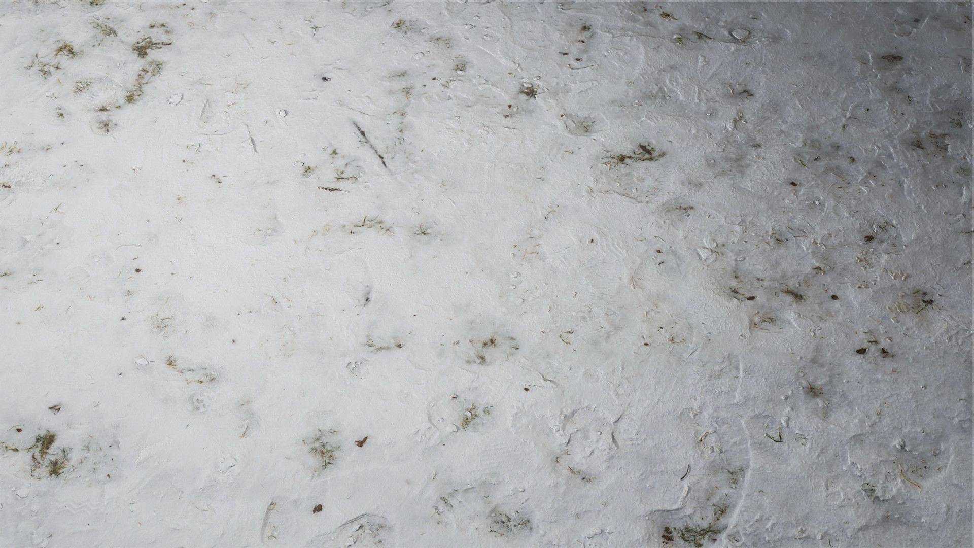 Texture Snow PBR Texture VR / AR / low-poly | CGTrader