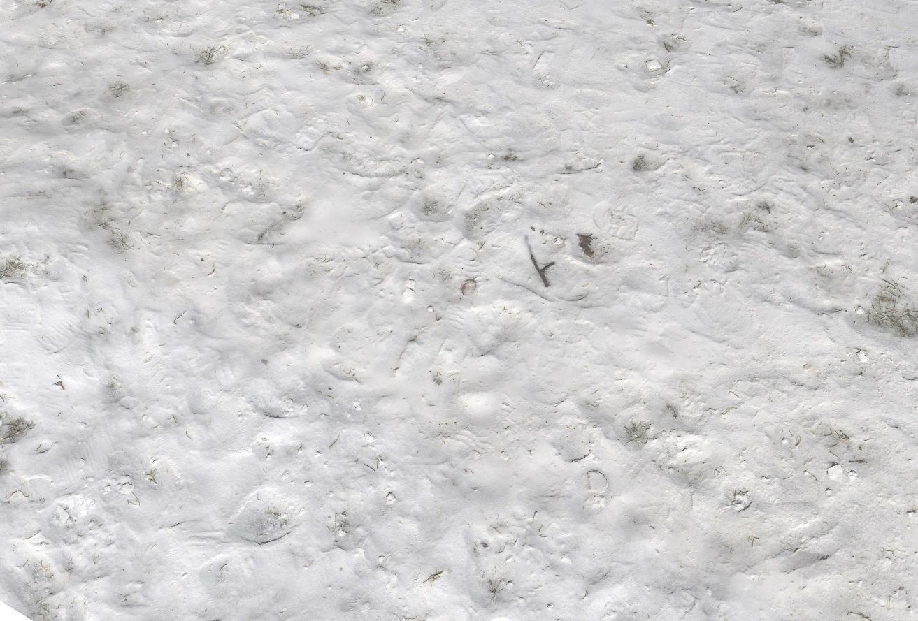 Texture Snow PBR Texture VR / AR / low-poly | CGTrader