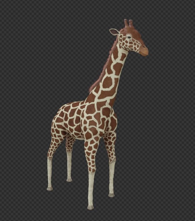 3D model giraffe VR / AR / low-poly | CGTrader