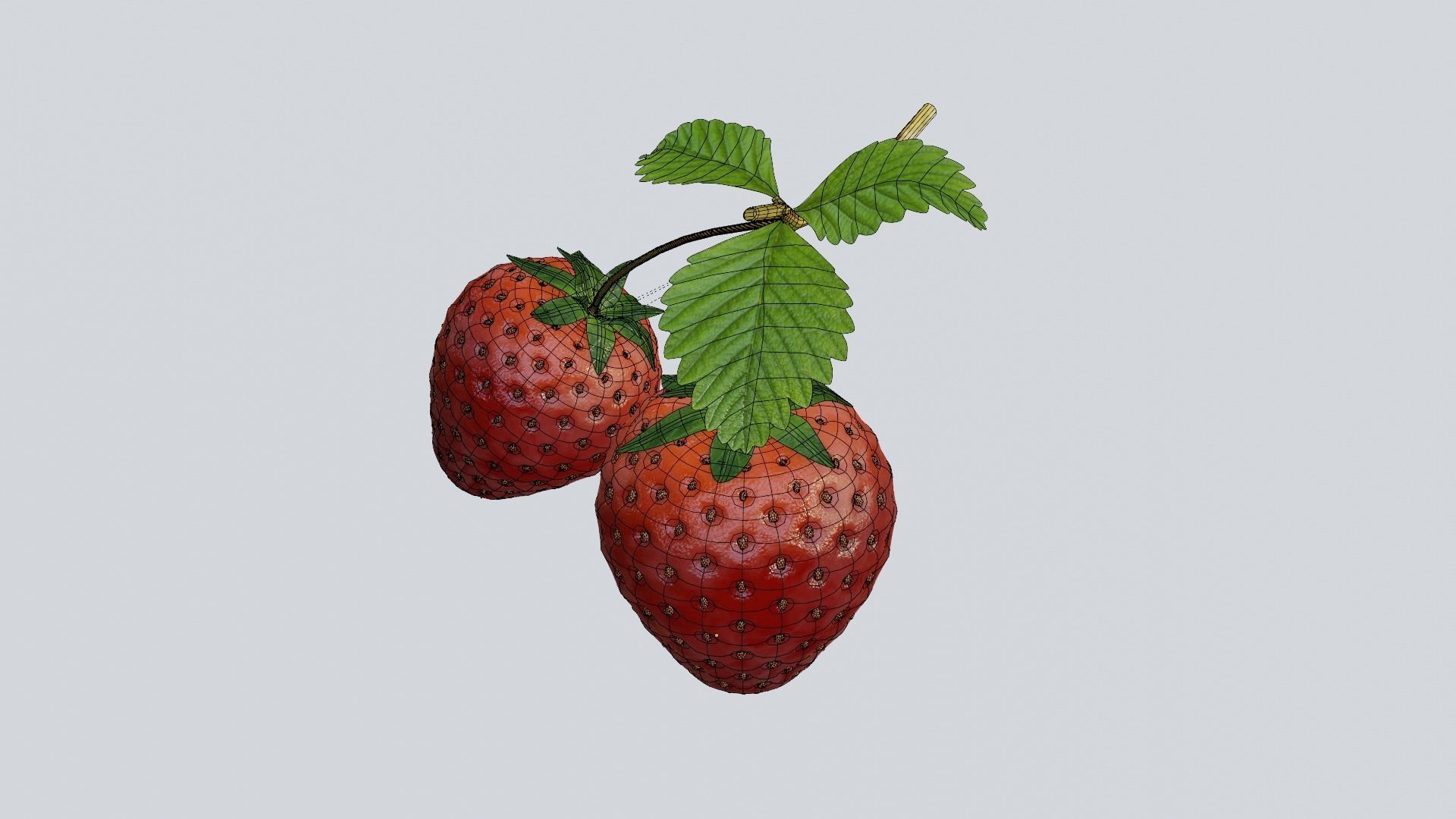 STRAW BERRY 3D model | CGTrader