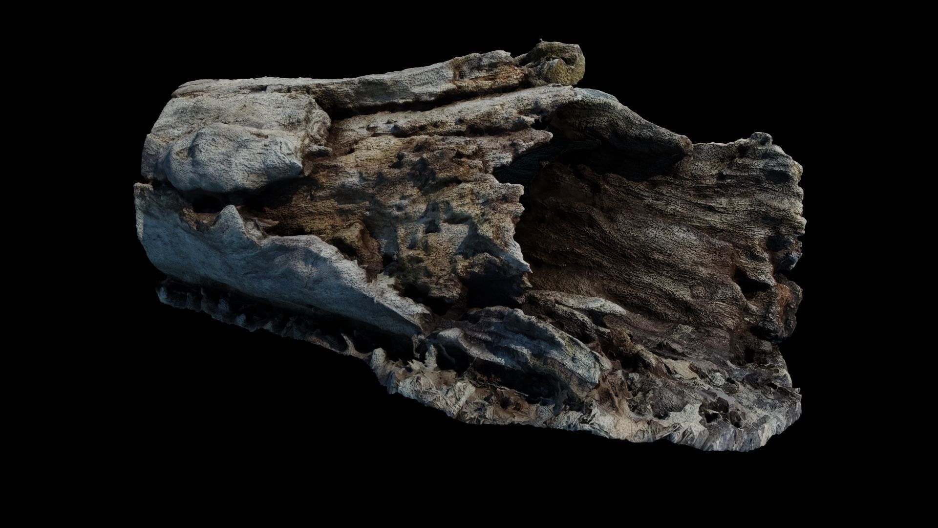 Fallen Rotting Log 3D model | CGTrader