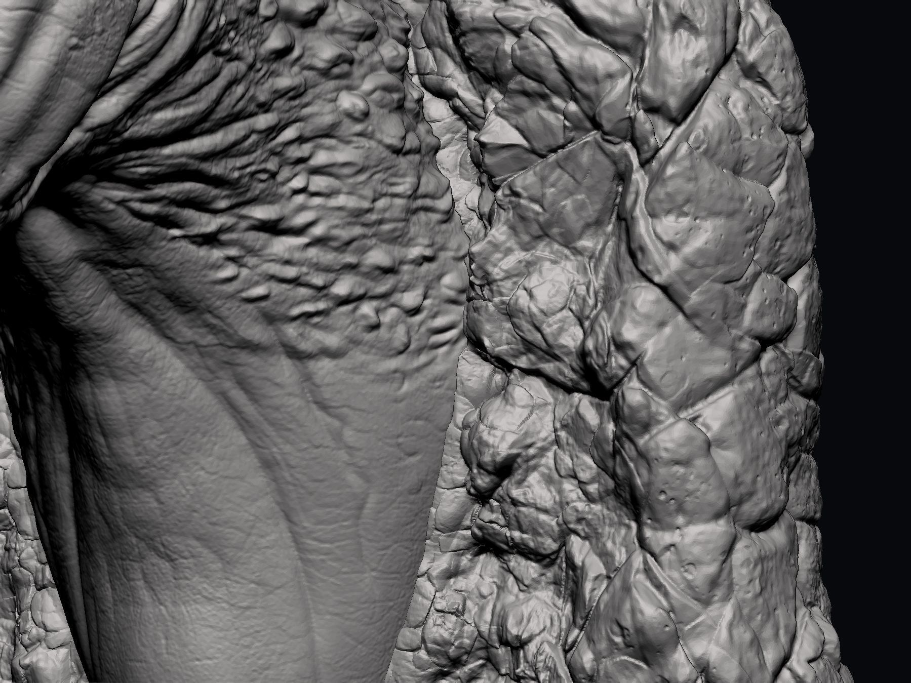 T REX Head - STL 3D model 3D printable | CGTrader