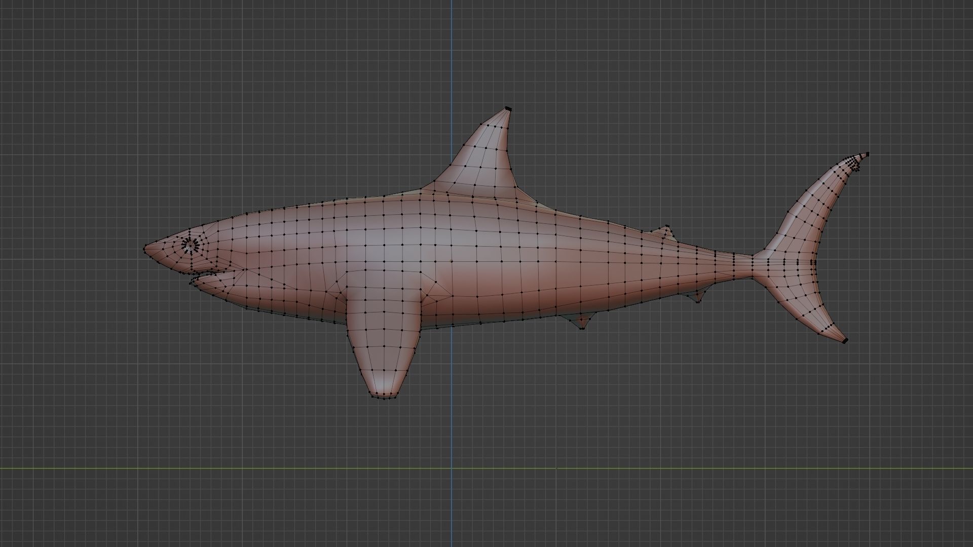 Shark low poly 3D model | CGTrader