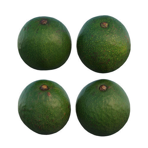 Booth Avocado 3D model | CGTrader