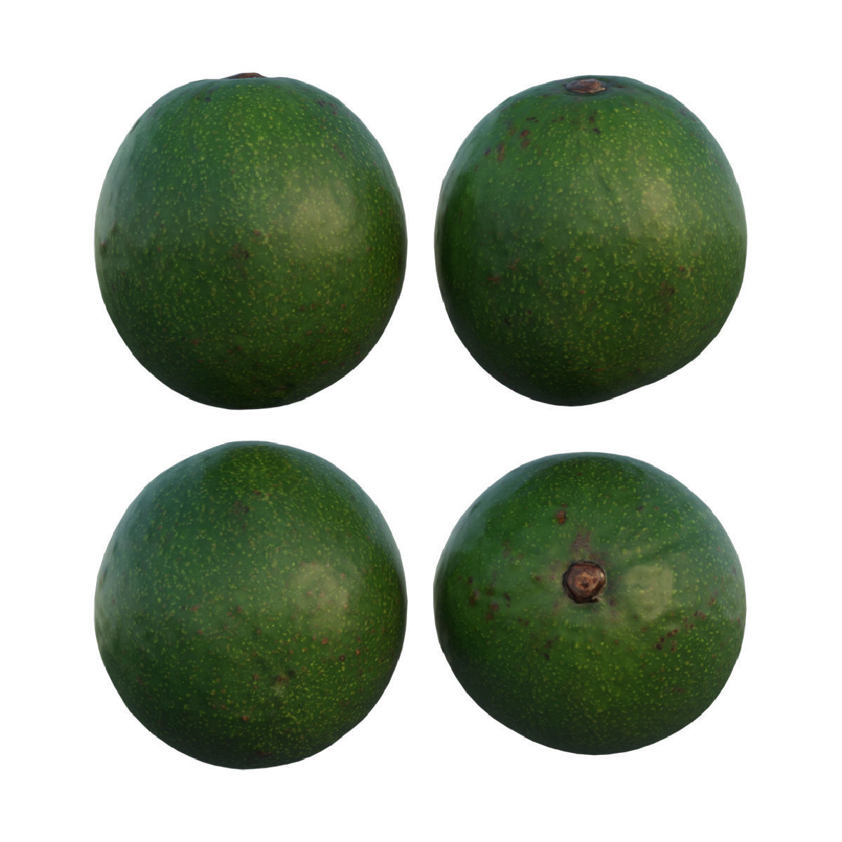 Booth Avocado 3D model | CGTrader