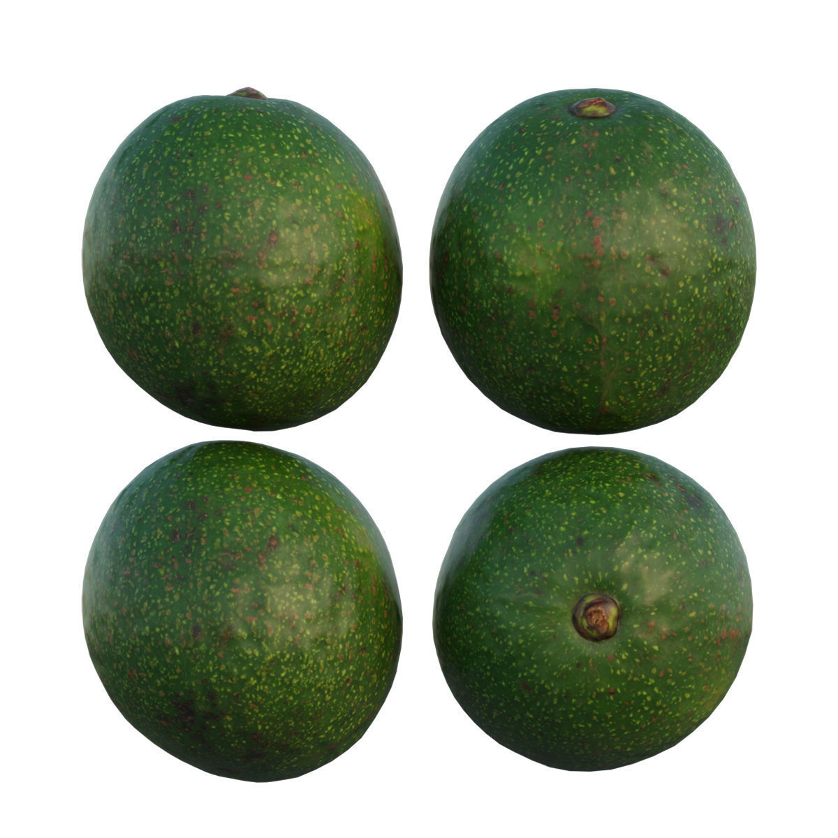 Booth Avocado 3D model | CGTrader