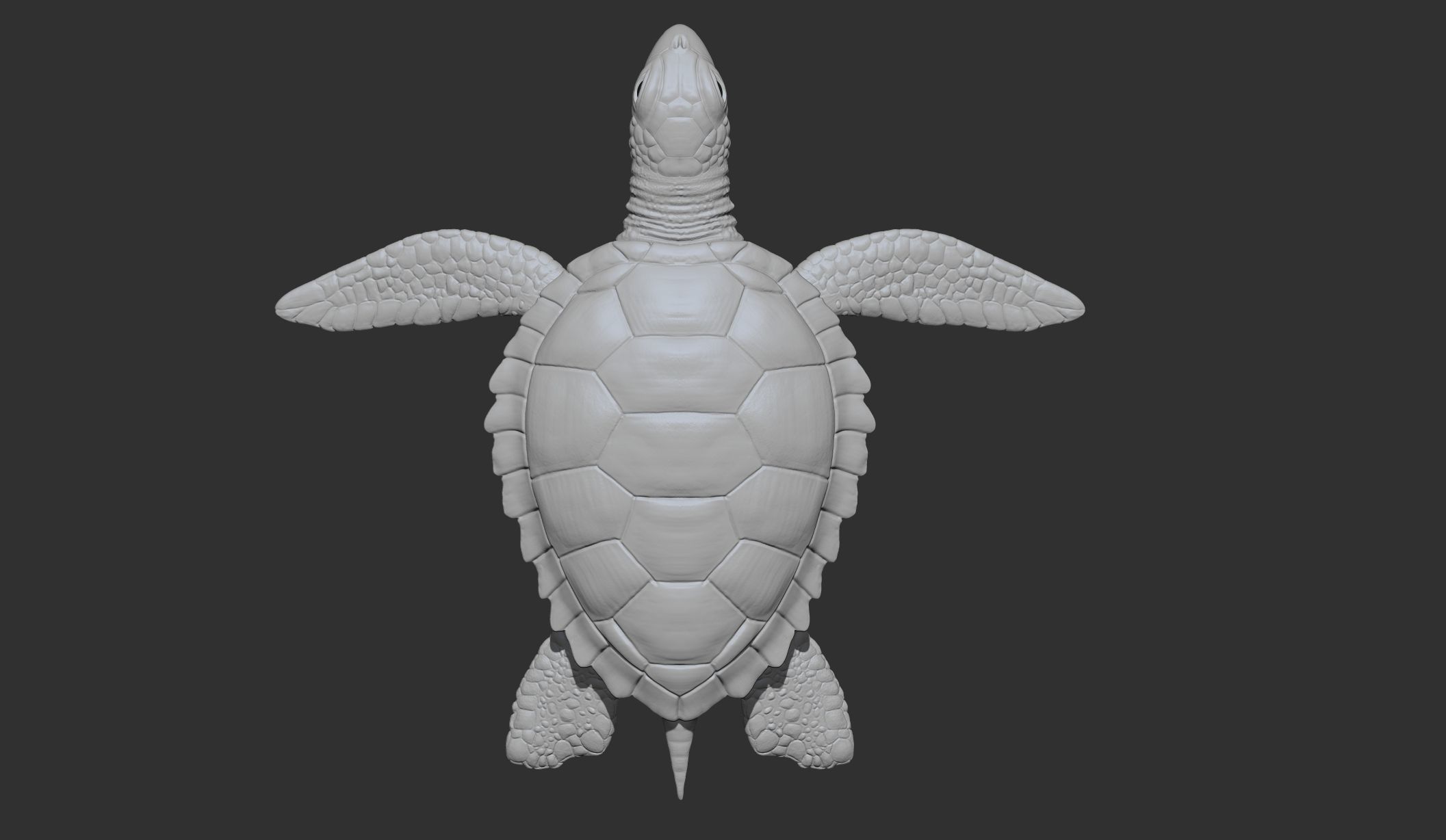 Green Sea Turtle 3DPrintable 3D model 3D printable | CGTrader