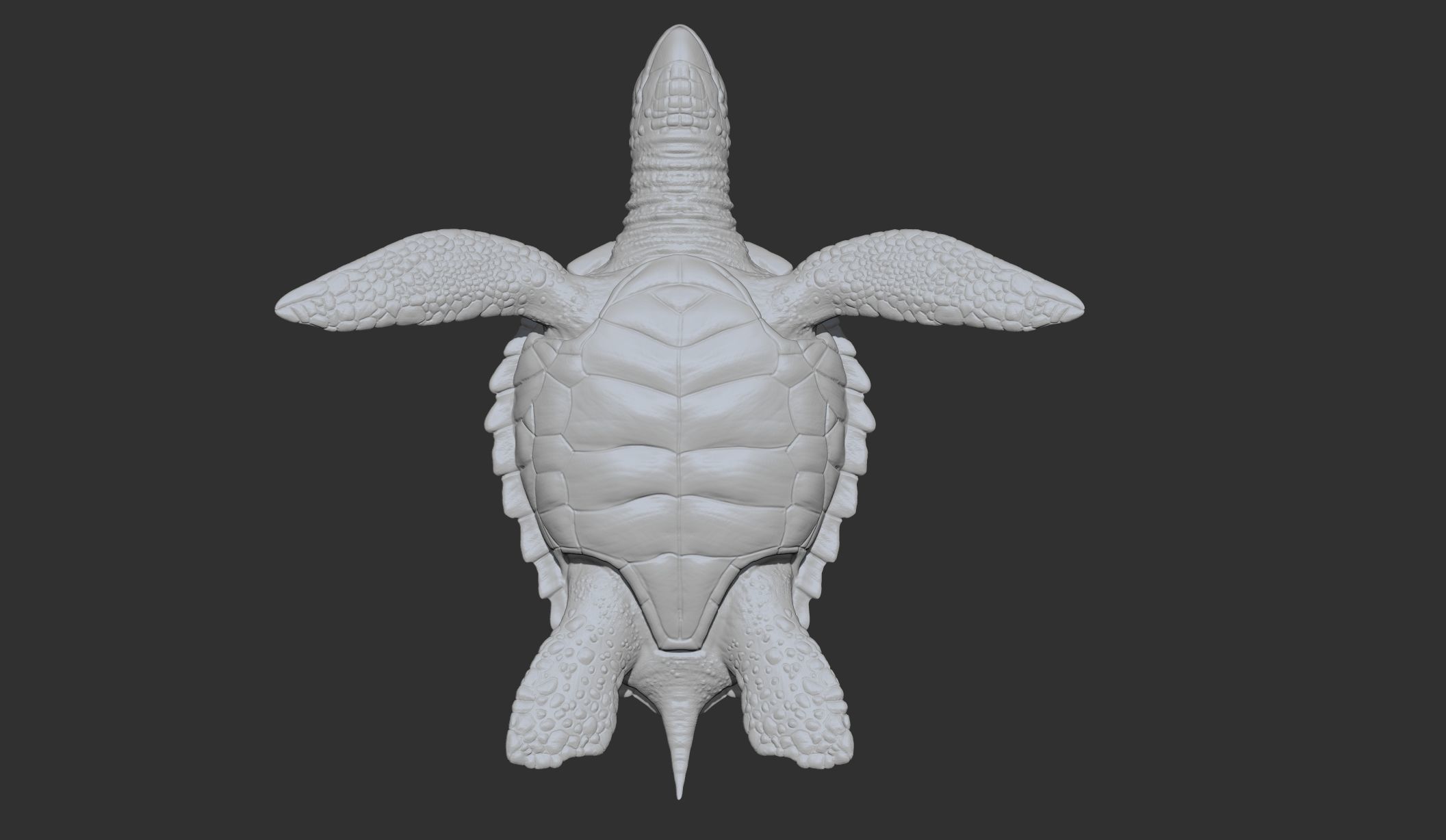 Green Sea Turtle 3DPrintable 3D model 3D printable | CGTrader