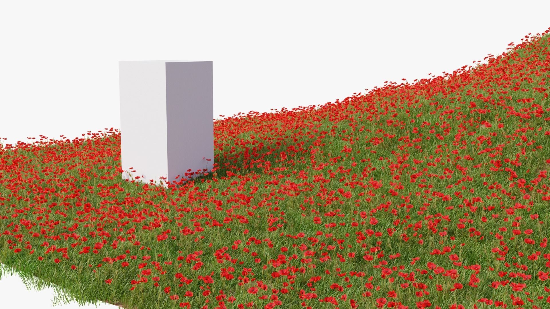 Grasses and Flower Field Package 3D Model Collection | CGTrader