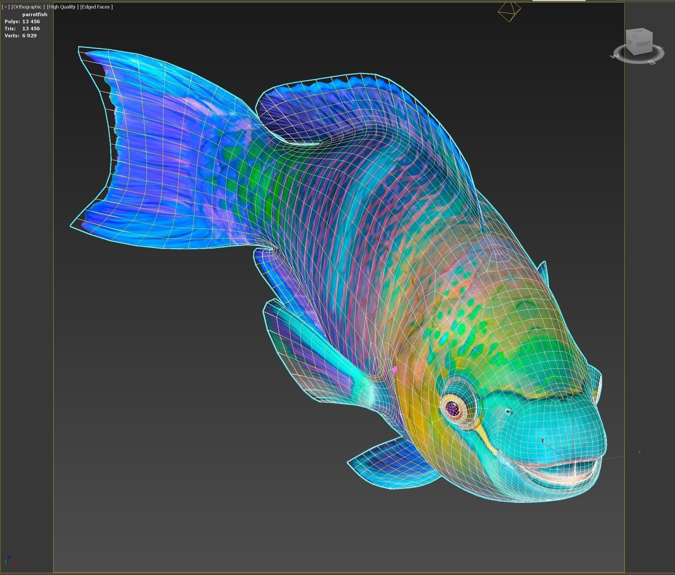 3D model Fish Parrotfish VR / AR / low-poly | CGTrader