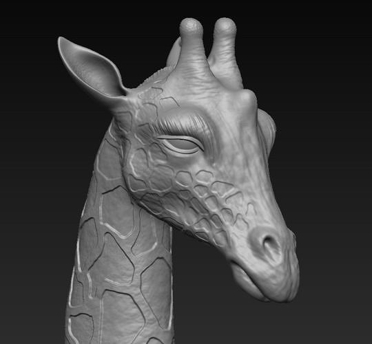 Giraffe 3D model 3D printable | CGTrader