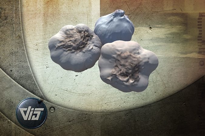 Scanned Garlic free VR / AR / low-poly 3D model | CGTrader