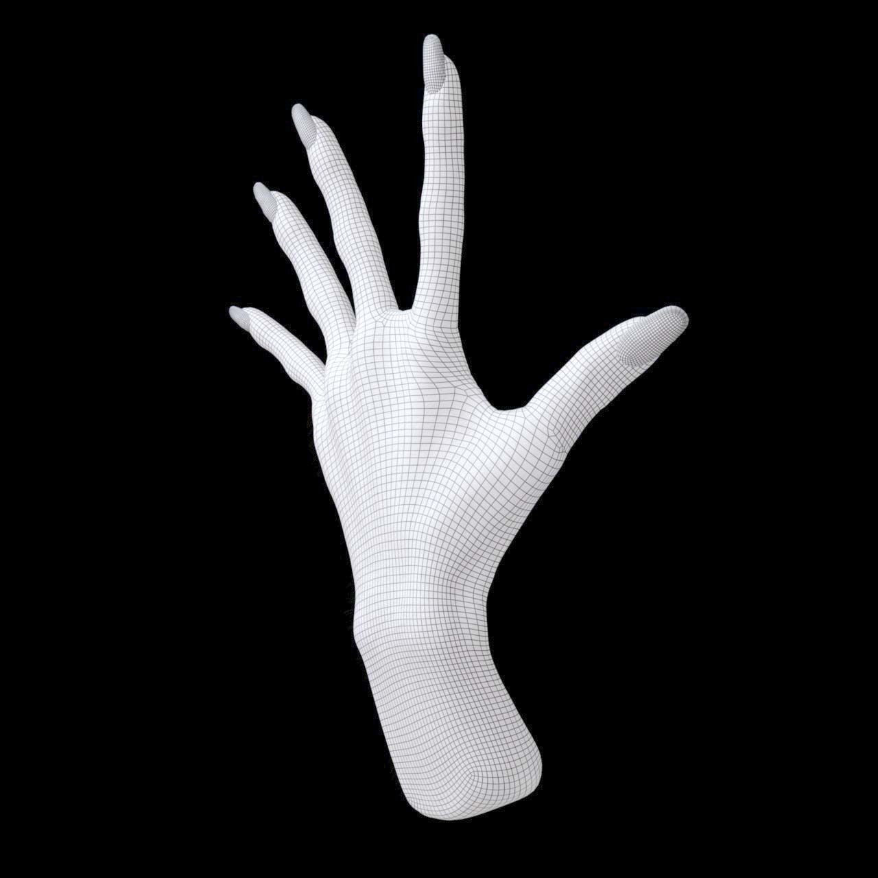 Female slim hand 3D model | CGTrader