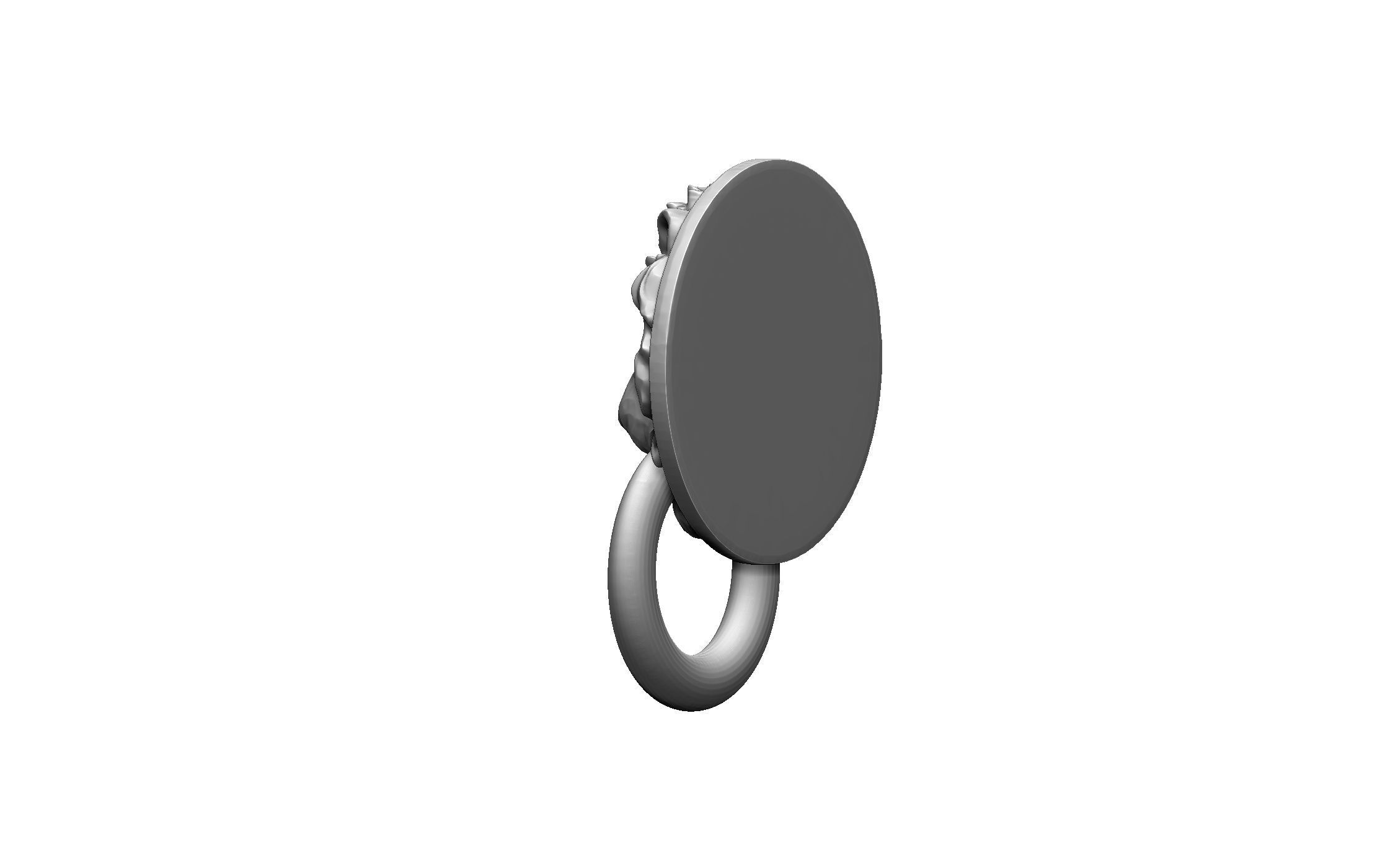 Animal head Lion Door Decoration 3D model 3D printable | CGTrader