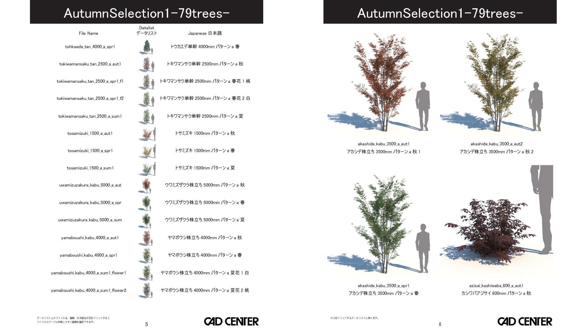 AutumnSelection1-79trees- 3D model | CGTrader