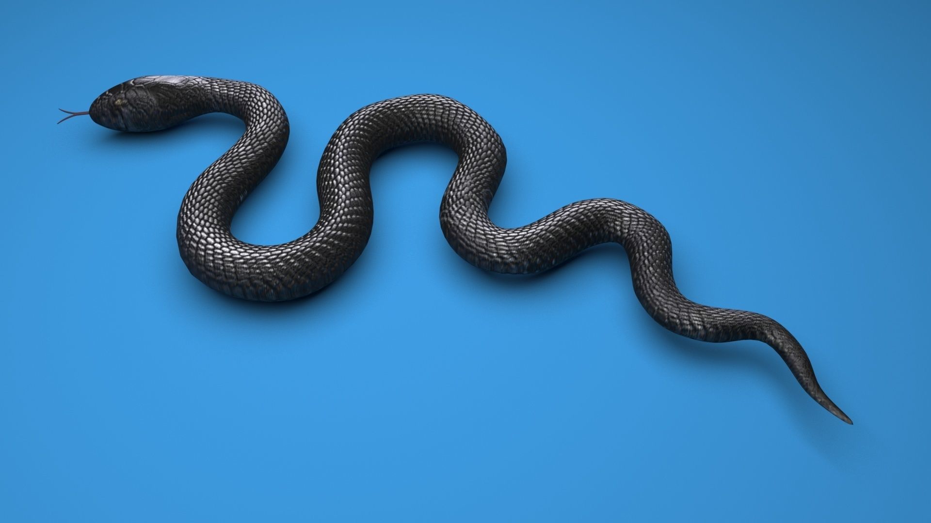 Snake 3D model rigged | CGTrader