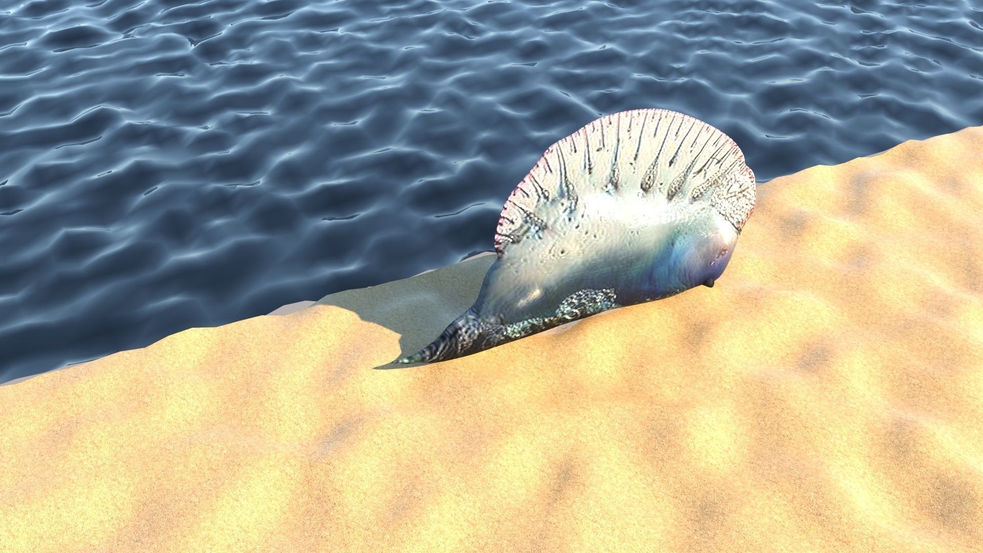Sea Creatures Collection 3D model | CGTrader