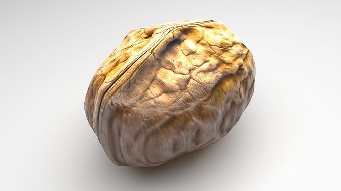 Walnut Shell 3D model | CGTrader