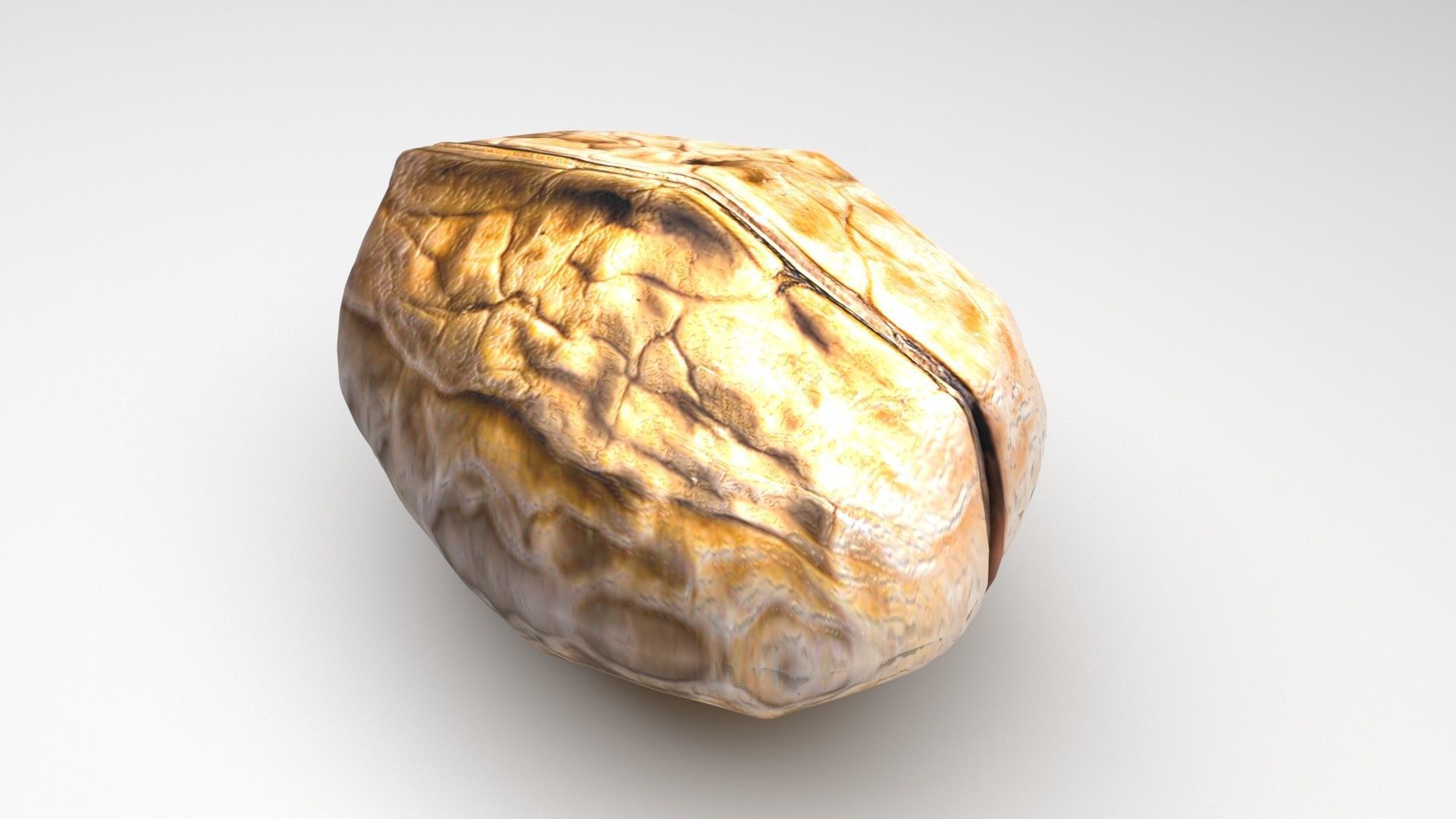 Walnut Shell 3D model | CGTrader